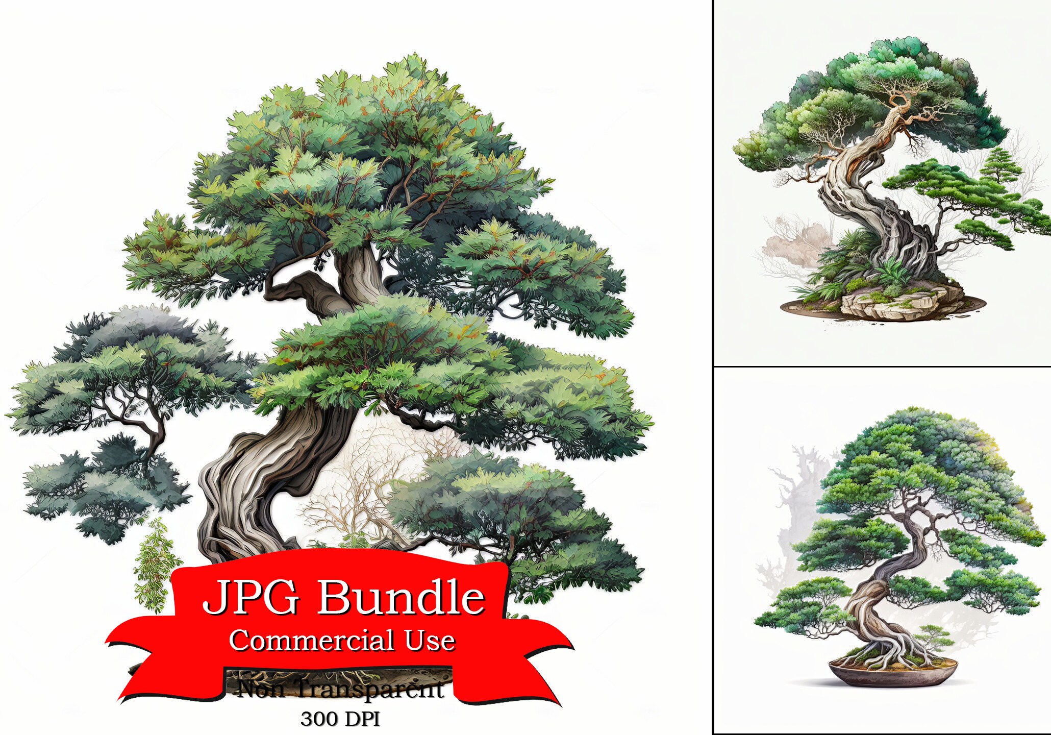 Bonsai Tree Clipart