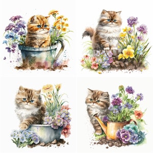 Persian Cat Clipart - Spring Flowers and Gardening Theme - Digital ...