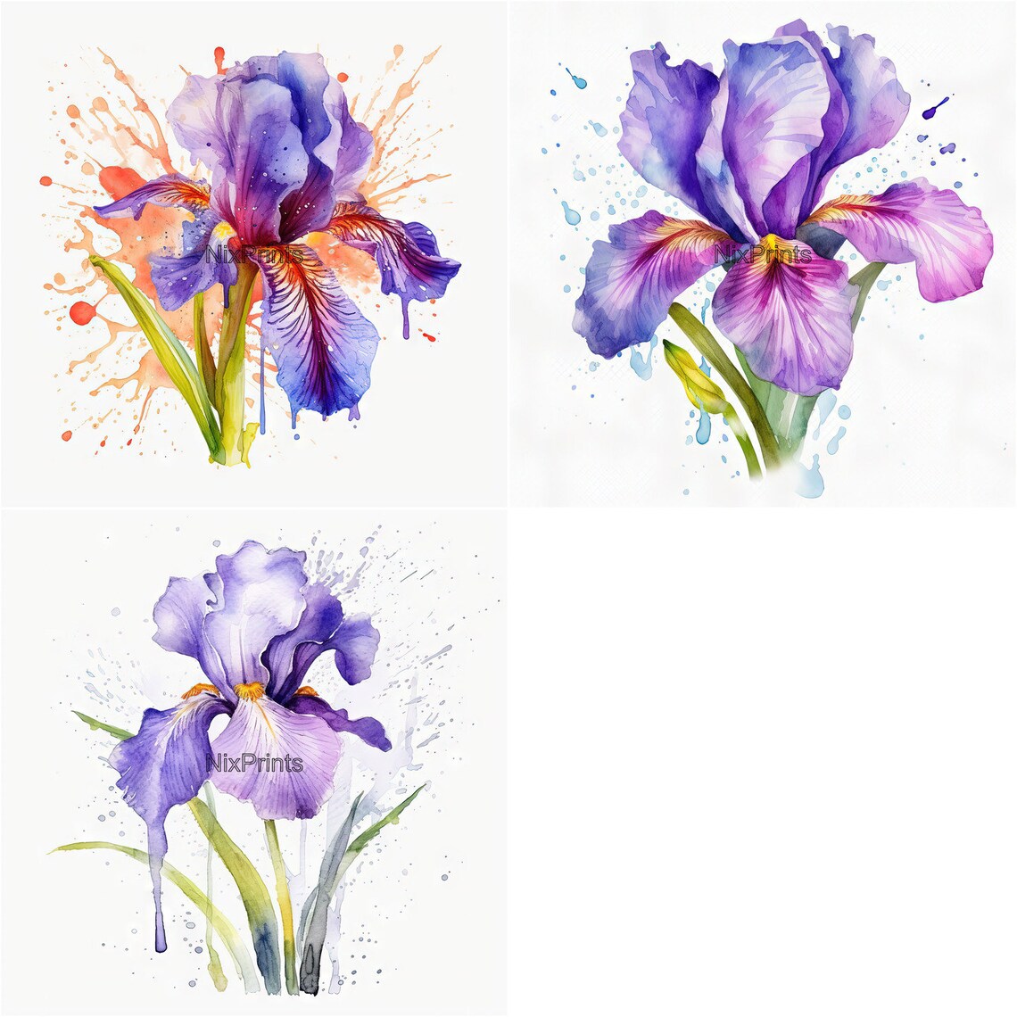 Iris Paint Splash Watercolor Digital Clipart Digital Paper - Etsy