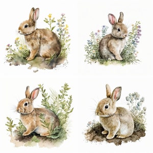 Bunny Mythology and Folklore, Nature and Wildlife Clipart - Legendary ...