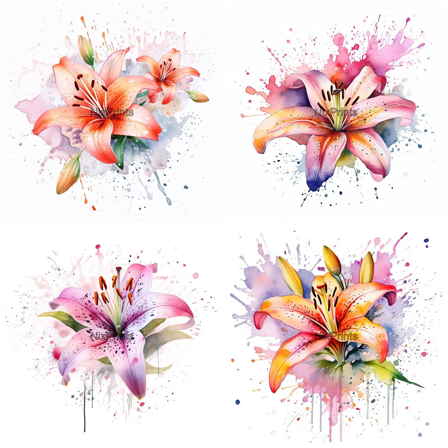 Lily Paint Splash Watercolor Digital Clipart Digital Paper - Etsy