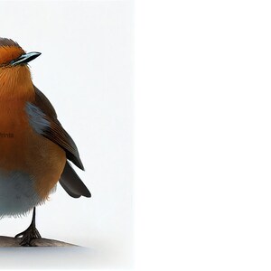 Robin Clipart, Cute Nursery Art, Robin, Simple, Child-like, Minimalist ...