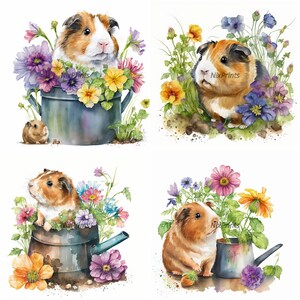 Baby Guinea Pig Clipart Set, Digital Image Downloads - 300 DPI - High ...