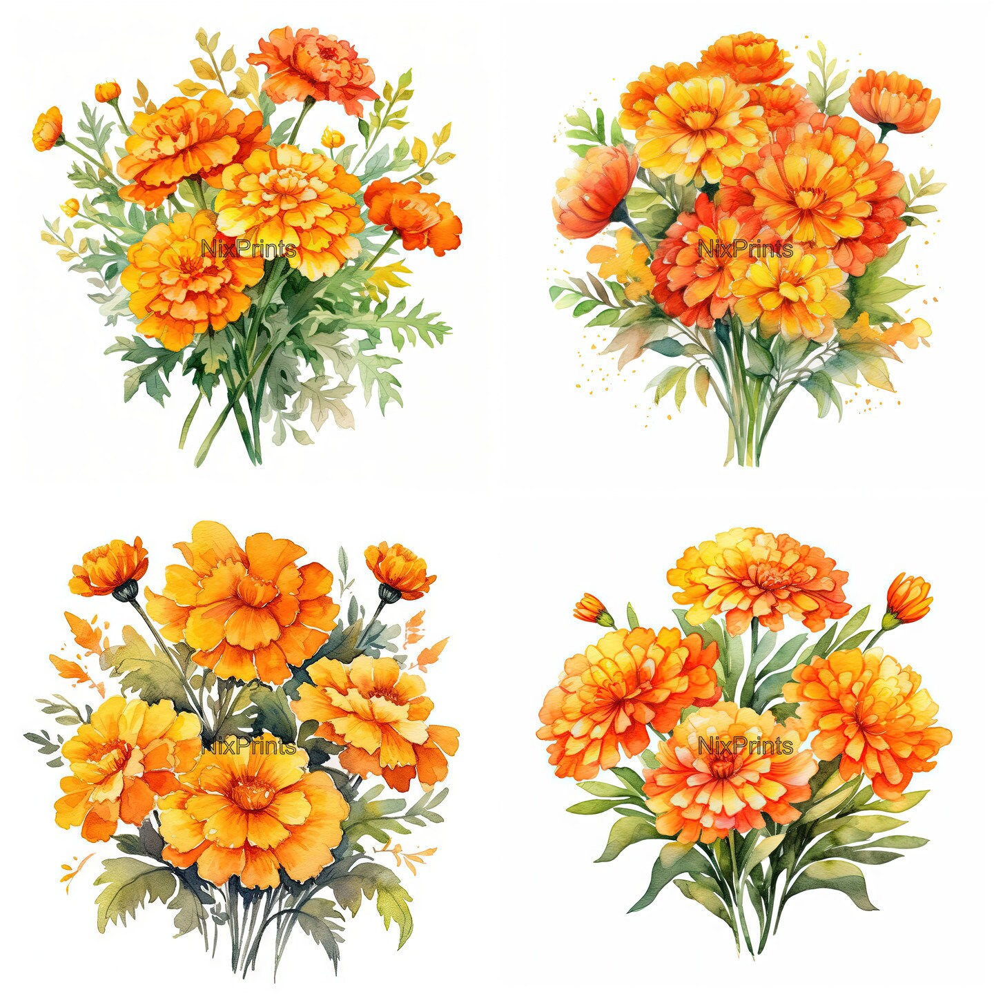 Watercolor Marigold Clipart Flower Bouquetdigital Paper - Etsy
