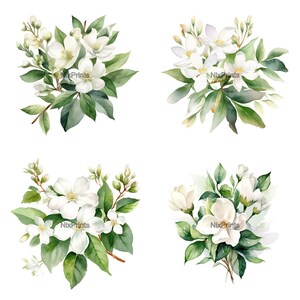 Jasmine Bouquet Watercolor Digital Clipart Digital Paper Crafting ...