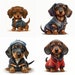 Dachshund Puppy Clipart Pack in JPG Format, Commercial Use, Instant ...