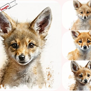 Adorable Clipart Baby Kioti Animal for Crafting ,high-resolution ,JPG ...