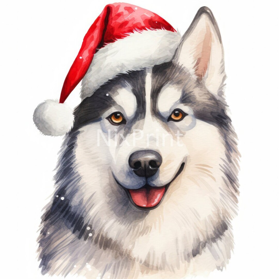 Siberian Husky Dog Clipart, in Santa Claus Dress, White Background ...