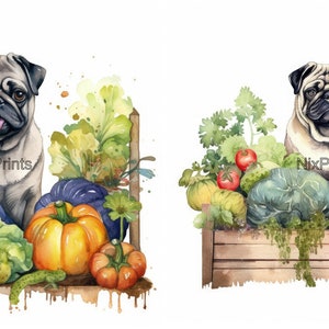 Cute Pug Dog Vegetable Garden Watercolor Clipart, Wall Art for Nursery ...