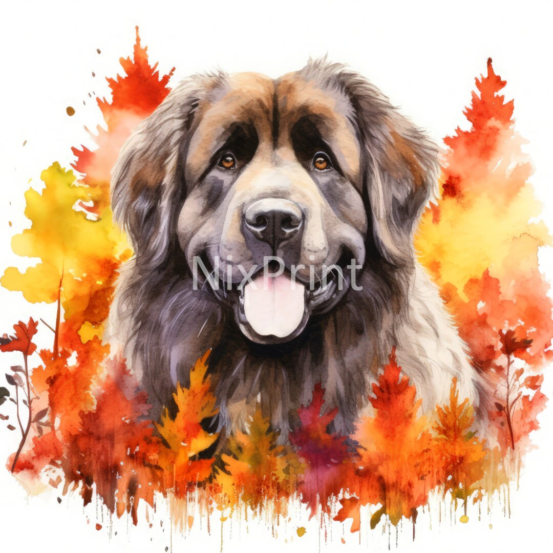 Newfoundland Fall Foliage Clipart, Dog Clipart,images for Cutting ...