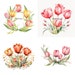 Tulip Flower Clipart, Watercolor Art Digital Paper Crafting, Digital ...