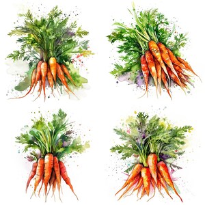Watercolor Carrots Digital Clipart in JPG Format Digital Paper Crafting ...