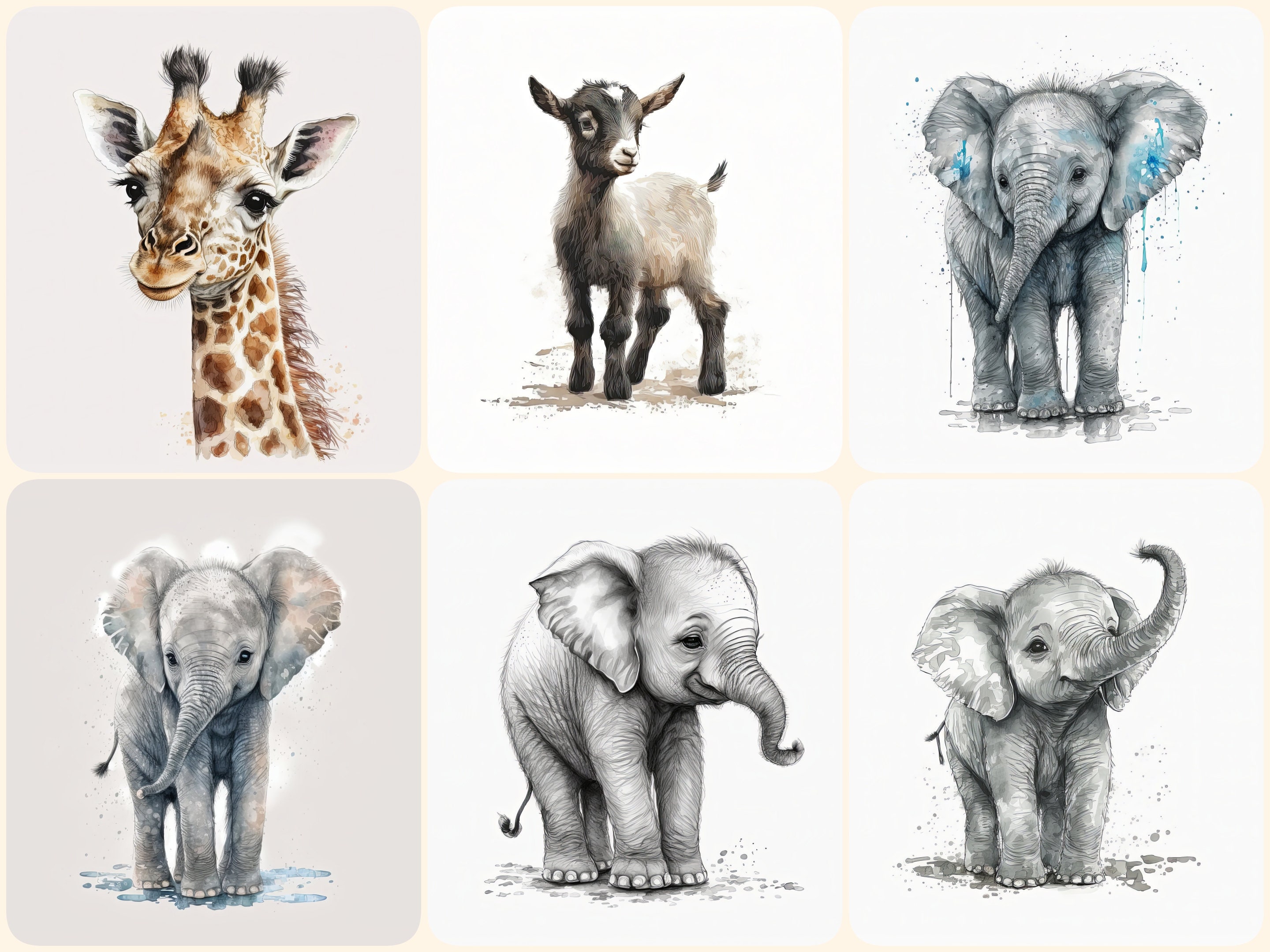 Clipart Bundle Safari Watercolor Animal Safari Bundlejpg - Etsy