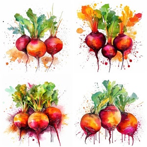 Watercolor Orange Beets Clipart in JPG Format Digital Paper Crafting ...
