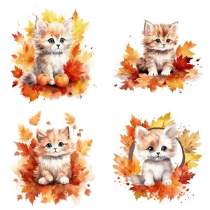 Kitten Fall Foliage Clipart, Designs for A Cricut, Graphic for T-shirt ...