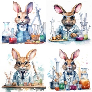 Rabbit Clipart, Scientist Clipart, in a Scientist's Lab Coat ...