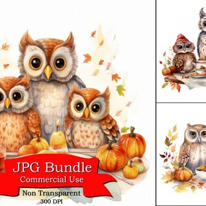Owl Clipart, Owls Family Clipart, Thanksgiving Clipart, Family Dinner ...