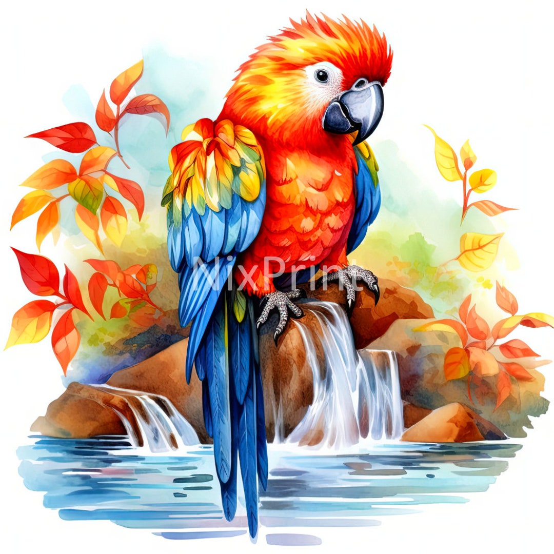 Parrot Autumn River Crossing Clipart, Bird Clipart, Designs for Shirts ...