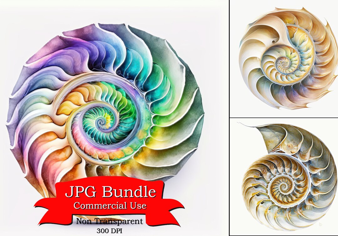 Spiral Watercolor Clipart, Abstract Art Design, Digital Download, Non ...