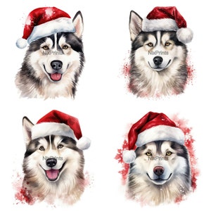 Siberian Husky Dog Clipart, in Santa Claus Dress, White Background ...