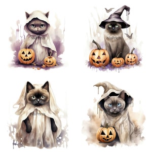 Cute Burmese Cat Spooky Halloween Costume Ghost Witch - Etsy Australia