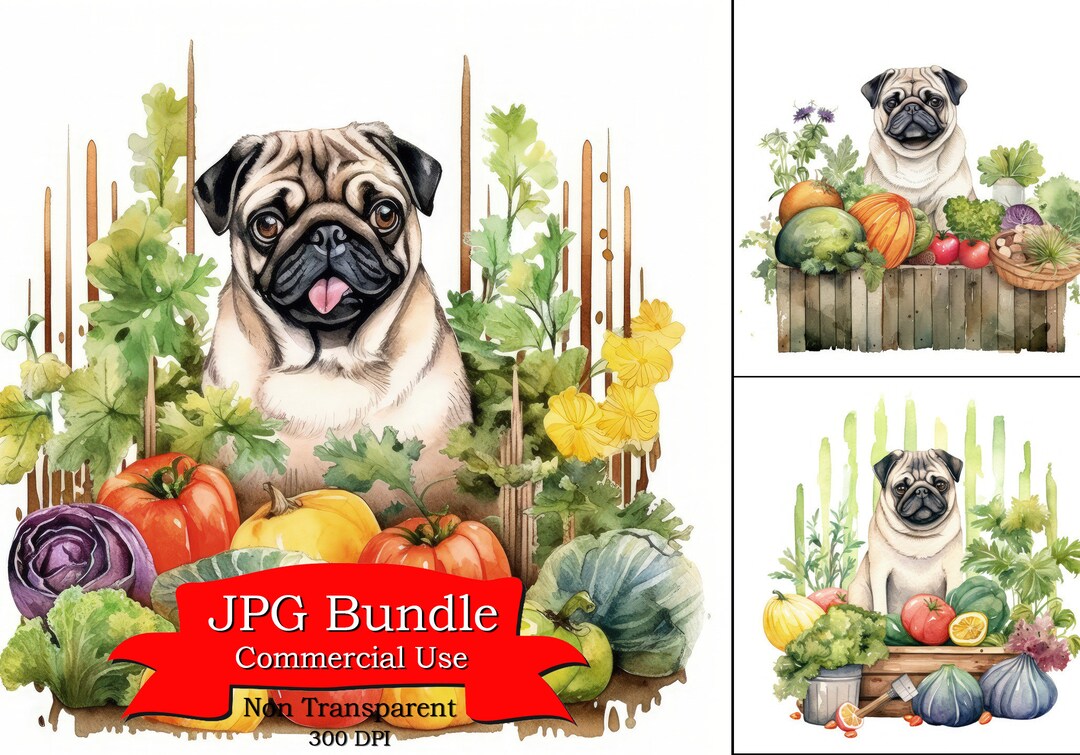 Cute Pug Dog Vegetable Garden Watercolor Clipart, Wall Art for Nursery ...