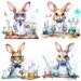 Rabbit Clipart, Scientist Clipart, in a Scientist's Lab Coat ...
