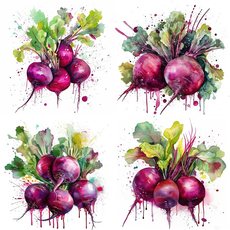 Watercolor Purple Beets Digital Clipart in JPG Format Digital - Etsy