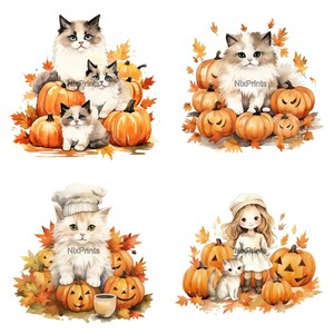 Cute Ragdoll Pumpkin Patch Watercolor Clipart, Halloween, Digital ...