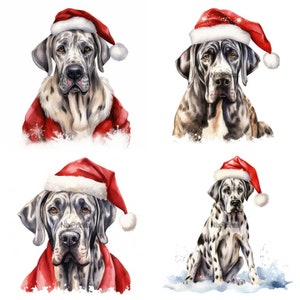 Cute Great Dane Clipart, Santa Claus Dress, White Background ...