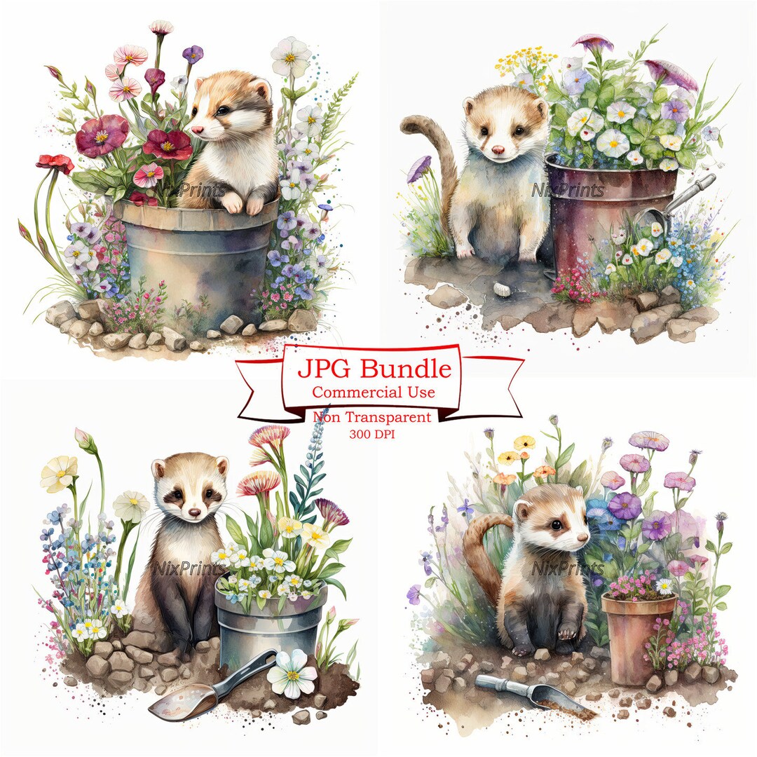 Baby Ferret Clipart Spring Flowers and Gardening Theme - Etsy