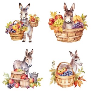 Cute Donkey Harvest Food Fall Season Watercolor Clipart, Print for ...