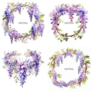 Wisteria Flower Clipart, Watercolor Art, Digital Paper Crafting ...