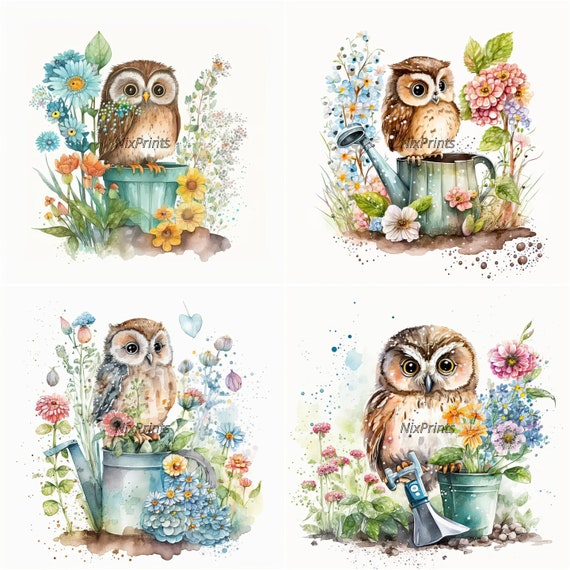 Spring Owl Clipart