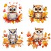Owl Fall Foliage Clipart, Bird Clipart, Digital Sticker for Designer ...
