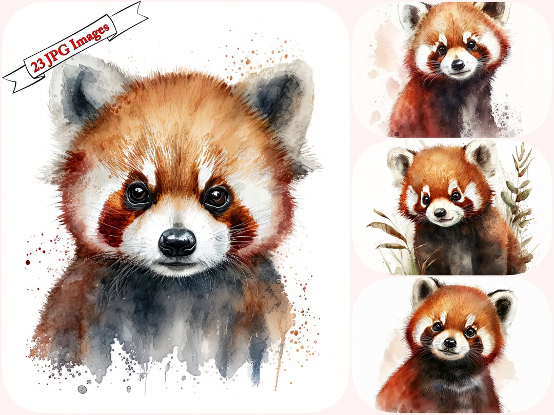 Cute Baby Panda Clipart for Crafting and Digital Projects ,high ...