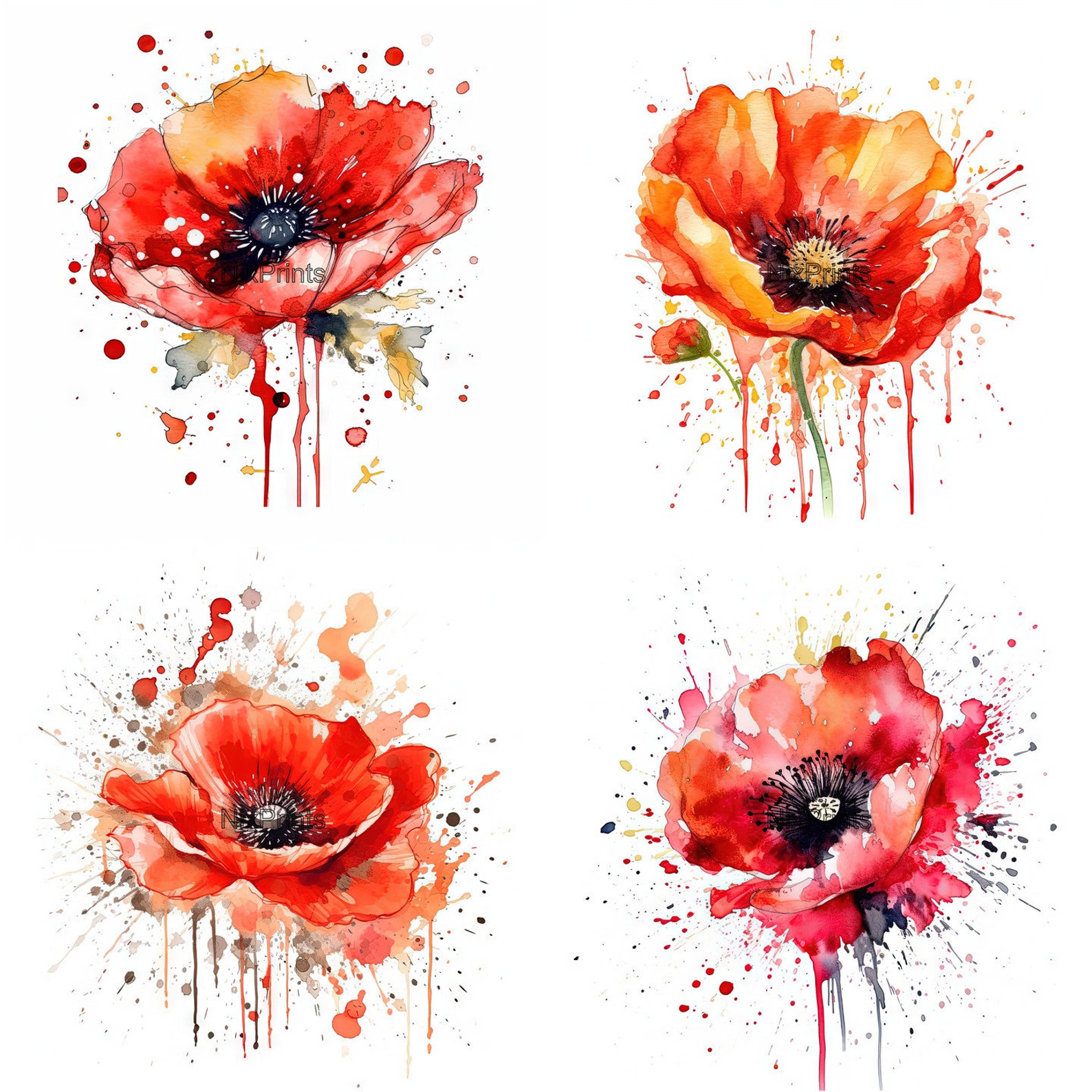 Poppy Paint Splash Watercolor Digital Clipart Digital Paper Crafting ...