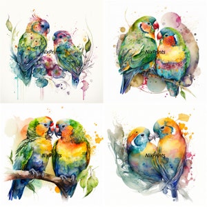 Colorful Watercolor Parrot Clipart and Wall Art | Instant Download for ...