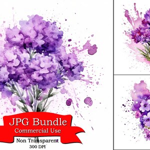 Statice Flower Paint Splash Clipart, Digital Paper Crafting, Digital ...
