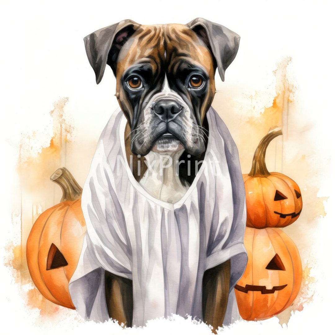 Cute Boxer Dog, Spooky Halloween Costume, Ghost and Witch Themes ...