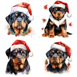 Rottweiler Dog Clipart, Christmas Clipart, in a Santa Claus Dress ...