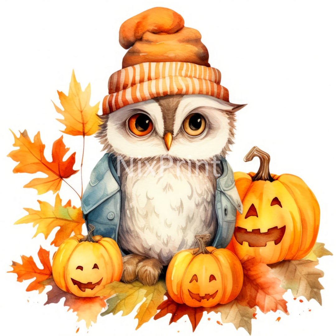 Owl Pumpkin Patch Clipart, Owl Clipart, Picture for Papa, Images for ...