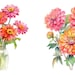 Zinnia Flower Bouquet Clipart, Watercolor Cliprt, Digital Paper ...