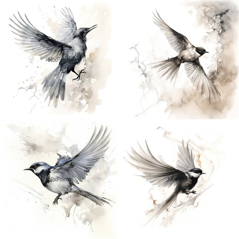 Watercolor Bird Clipart, Designs for Business Cards, Clip Art for ...