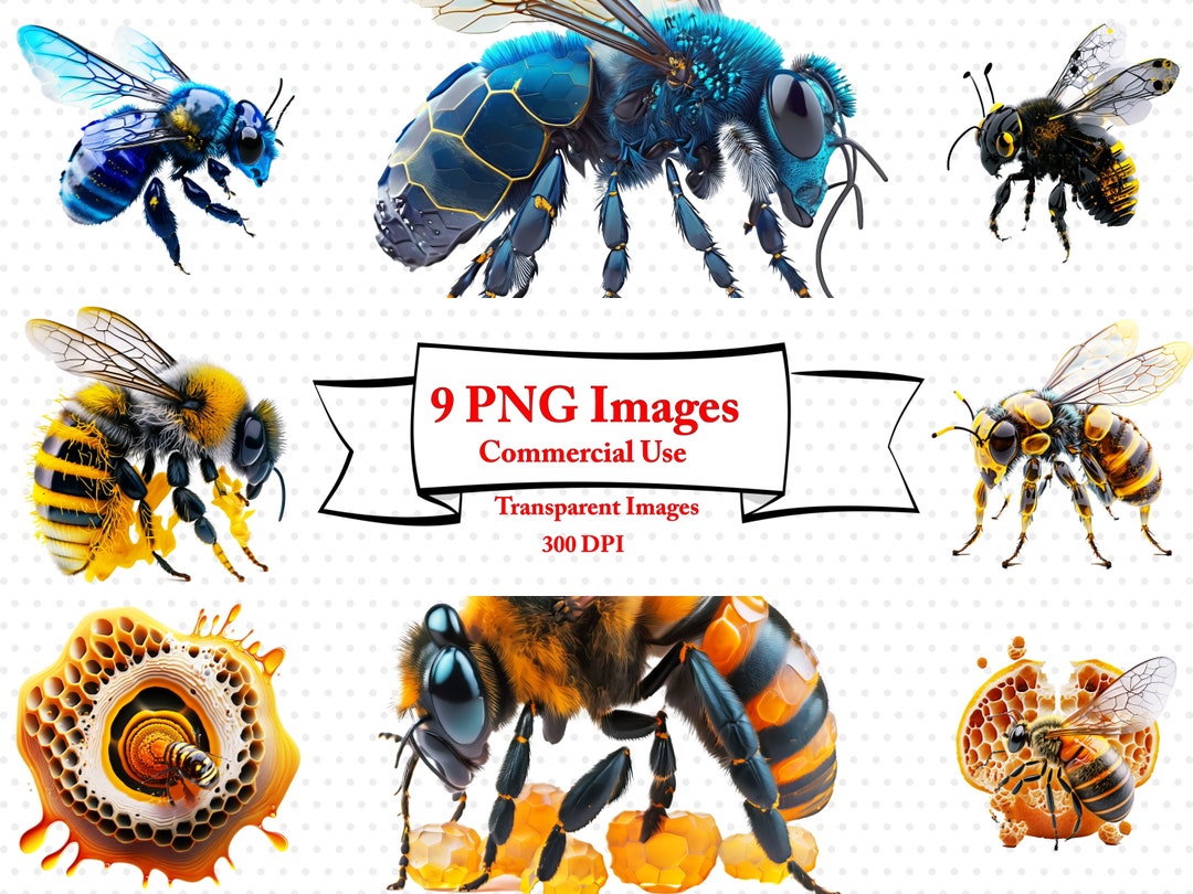 Radiant 9 Bee Clipart Bundle in PNG Format With Transparent Background Perfect for Scrapbooking ...