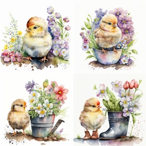 Baby Rooster Chick Clipart Set, Spring Flowers and Gardening Theme ...