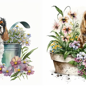 Cavalier King Charles Clipart Spring Flowers and Gardening Theme ...