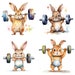 Rabbit Clipart, Gym Clipart, in a Gym Outfit, Lifting Weights, at a Gym ...