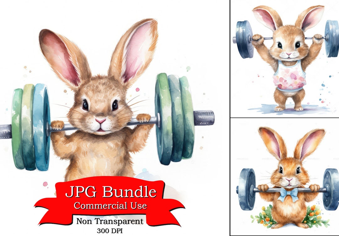 Rabbit Clipart, Gym Clipart, in a Gym Outfit, Lifting Weights, at a Gym ...