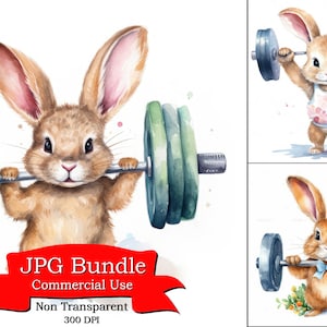 Rabbit Clipart, Gym Clipart, in a Gym Outfit, Lifting Weights, at a Gym ...